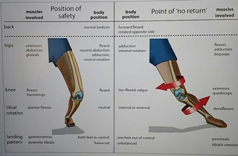 Physiocure | The sports Rehab clinic.