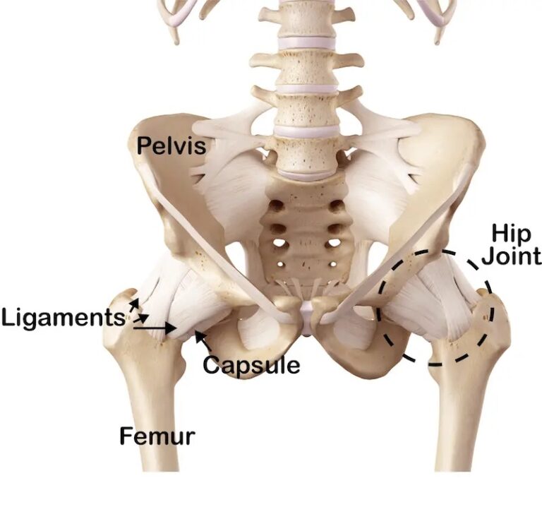 Physiocure | The sports Rehab clinic.