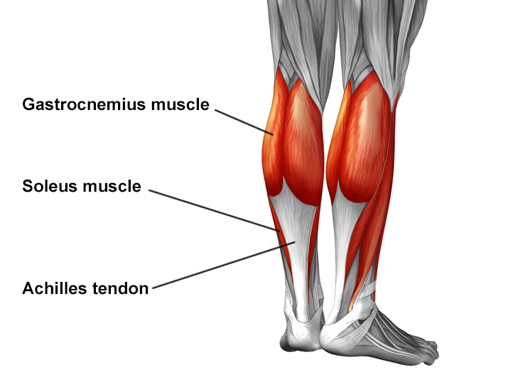 Physiocure The Sports Rehab Clinic 